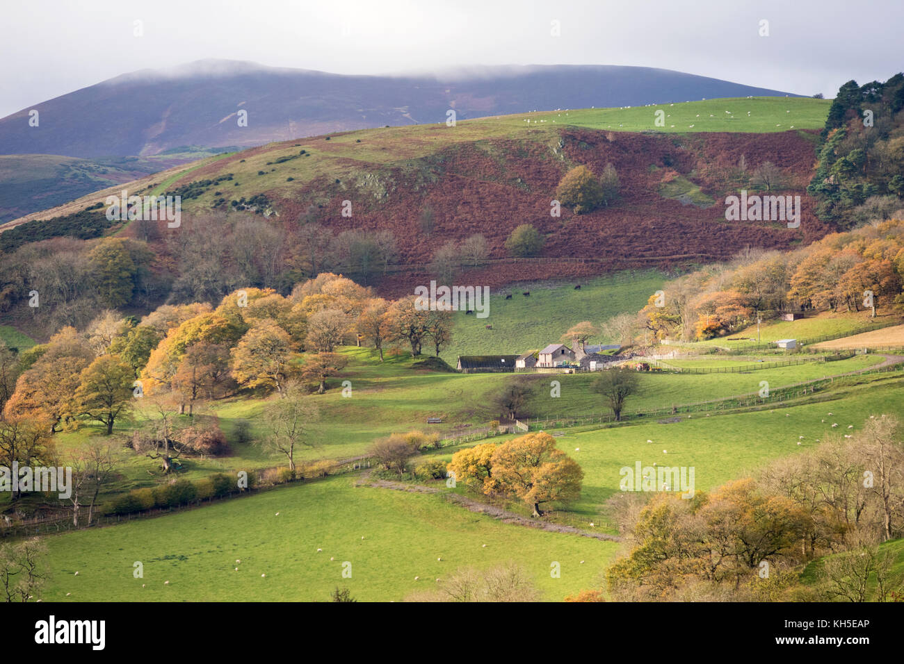 Trails footpath hi-res stock photography and images - Alamy