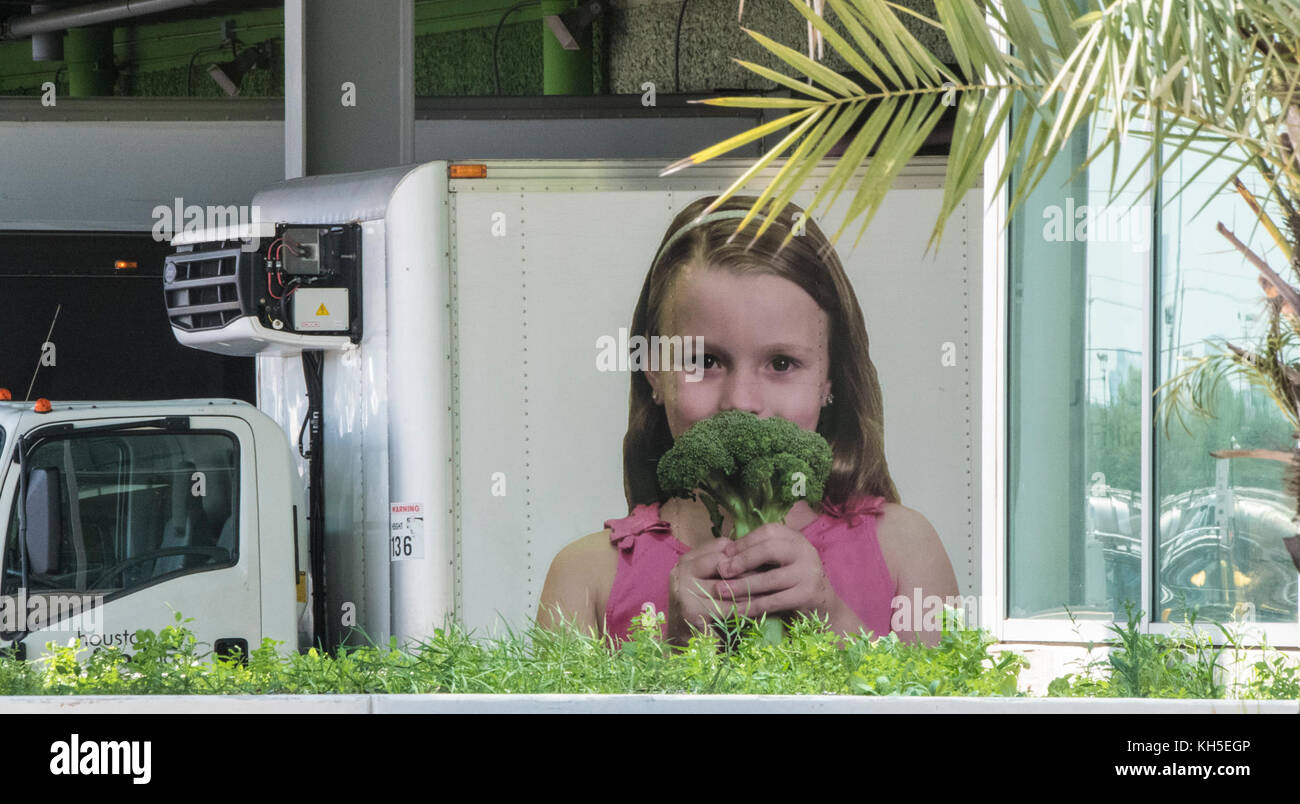 Pallets of FEMA and USDA Emergency Food Assistance Program (TEFAP ...