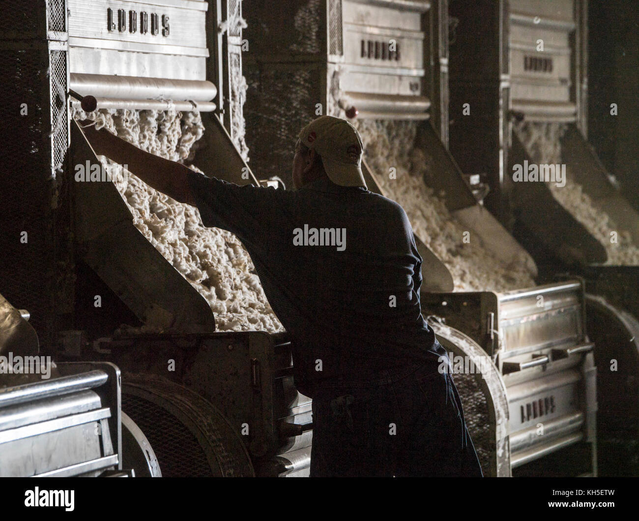 United Ag Cooperative Hillje site supports cotton ginning and grain ...