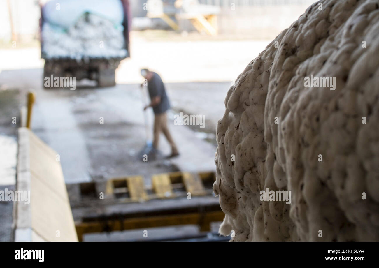 Cotton Module High Resolution Stock Photography and Images - Alamy
