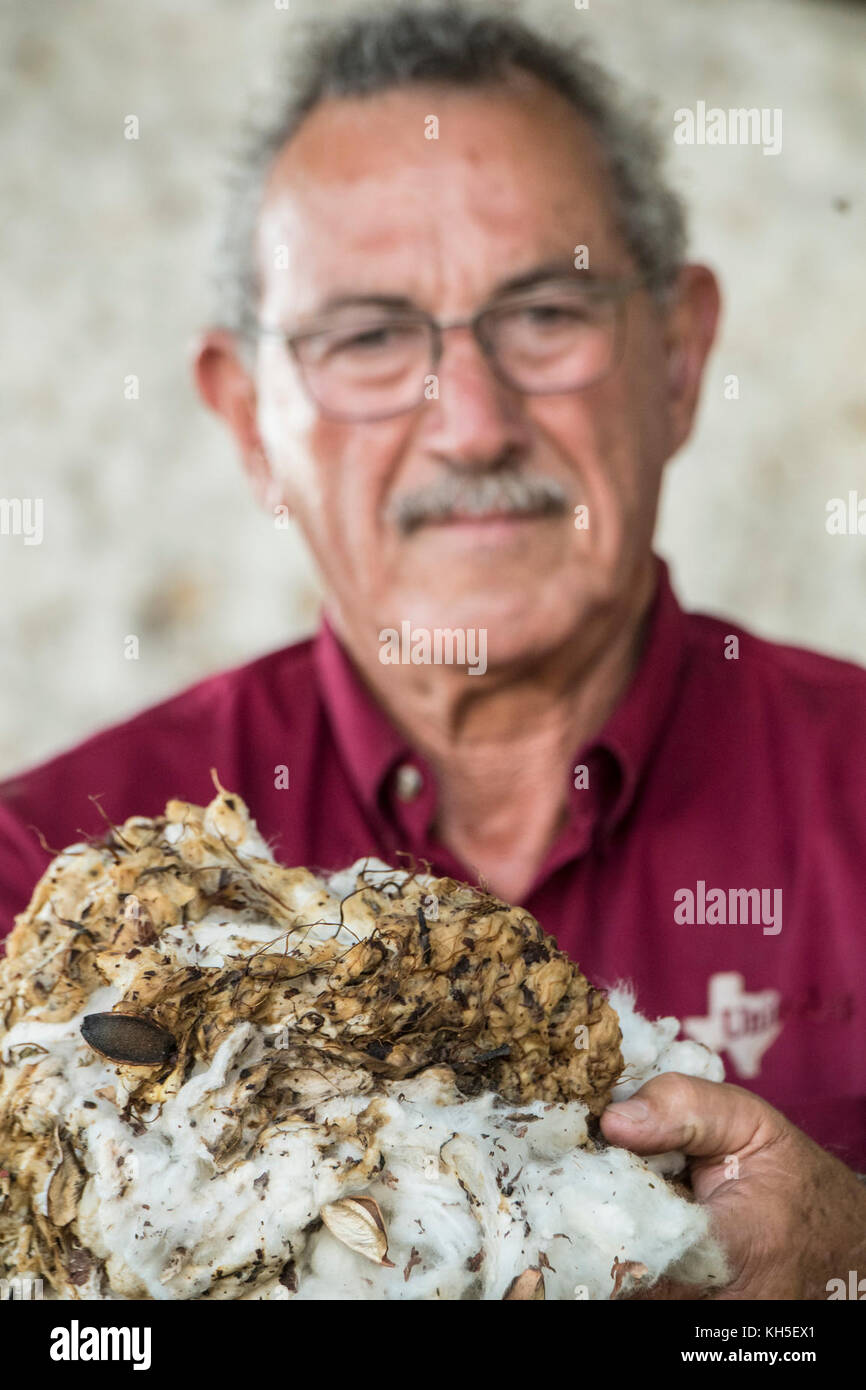 Cotton ginning mill hi-res stock photography and images - Alamy