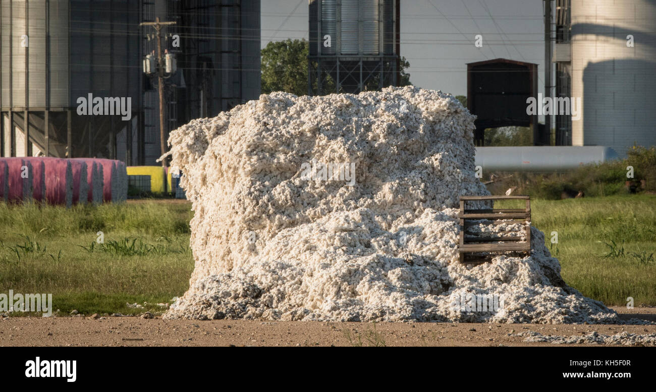 Cotton ginning mill hi-res stock photography and images - Alamy