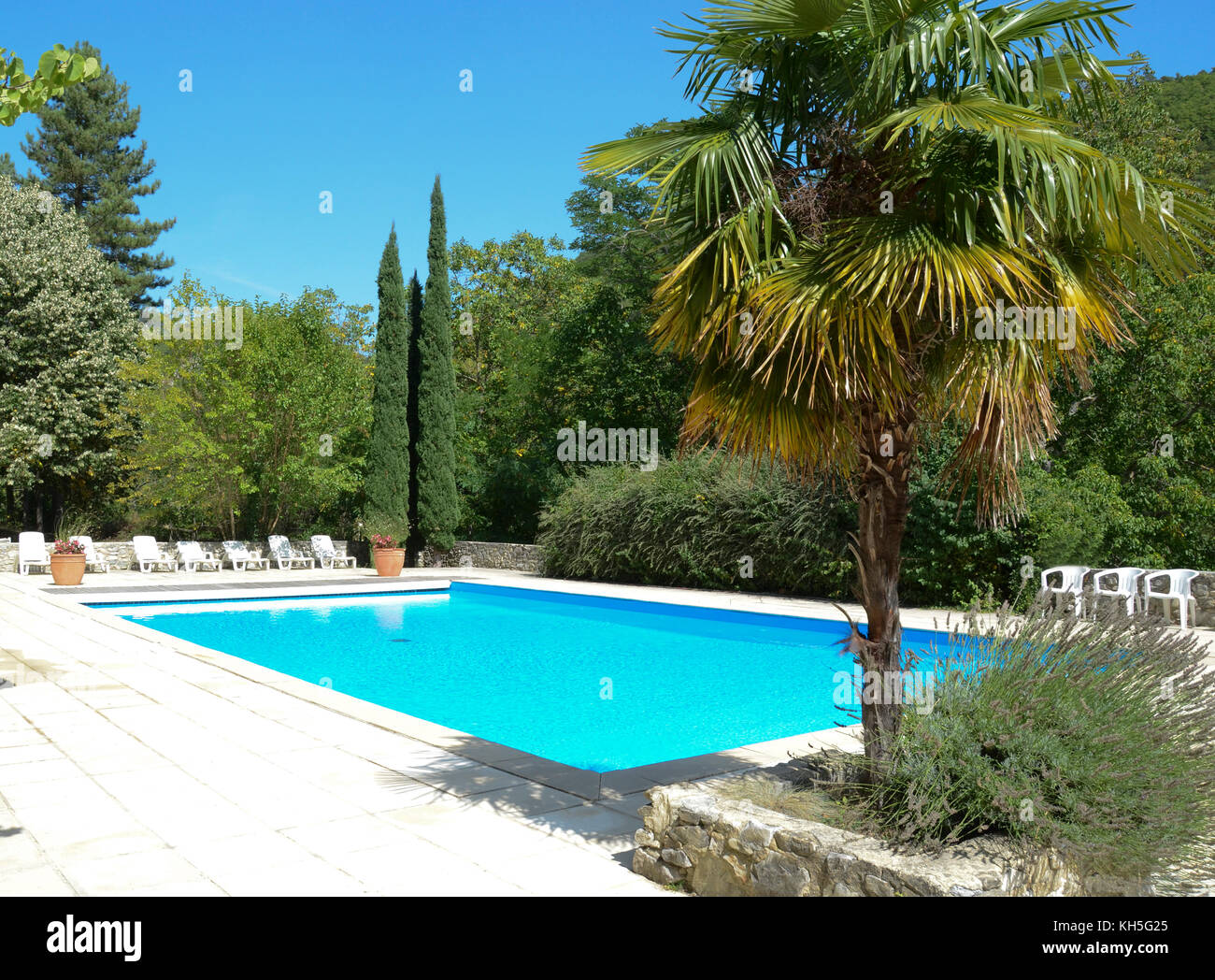 Outdoor swimming pool surrounded trees hi-res stock photography and ...