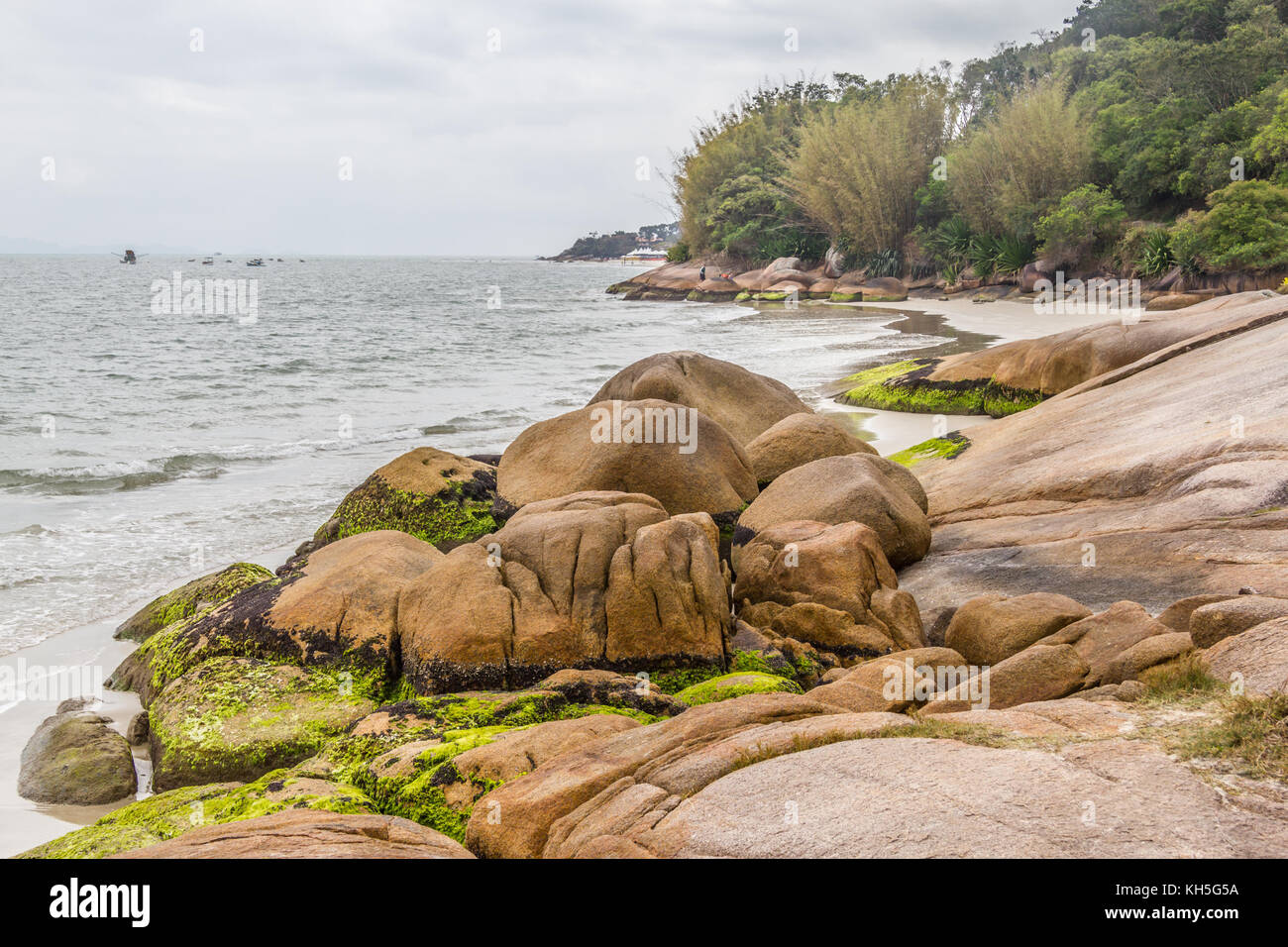 Daniela beach florianopolis hi-res stock photography and images - Alamy