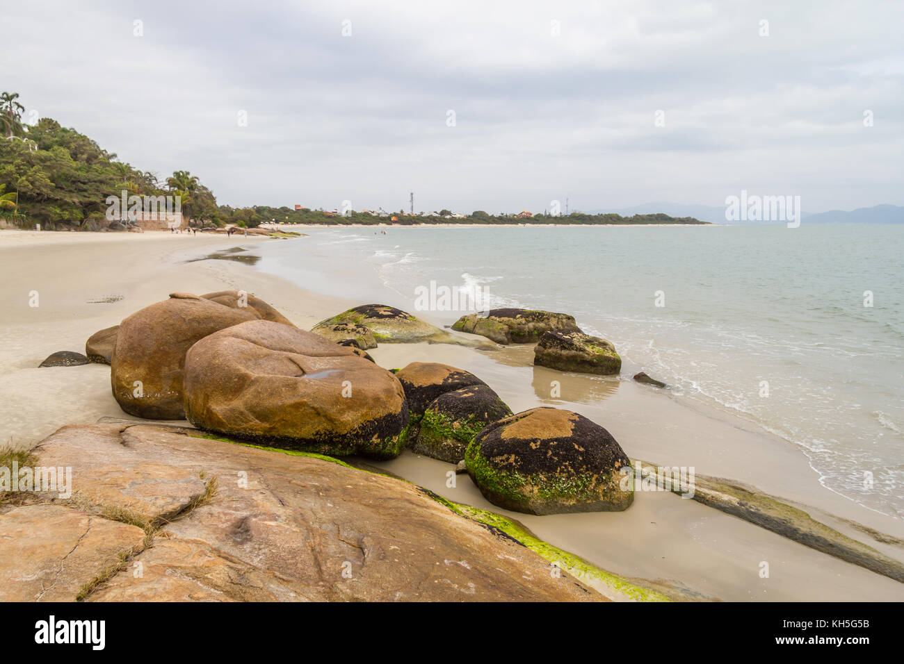 Daniela beach, Florianopolis, Santa Catarina, Brazil Stock Photo - Alamy