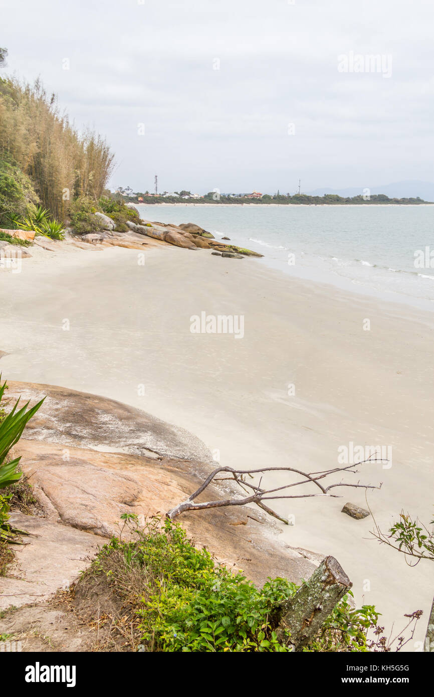 Daniela beach, Florianopolis, Santa Catarina, Brazil Stock Photo - Alamy