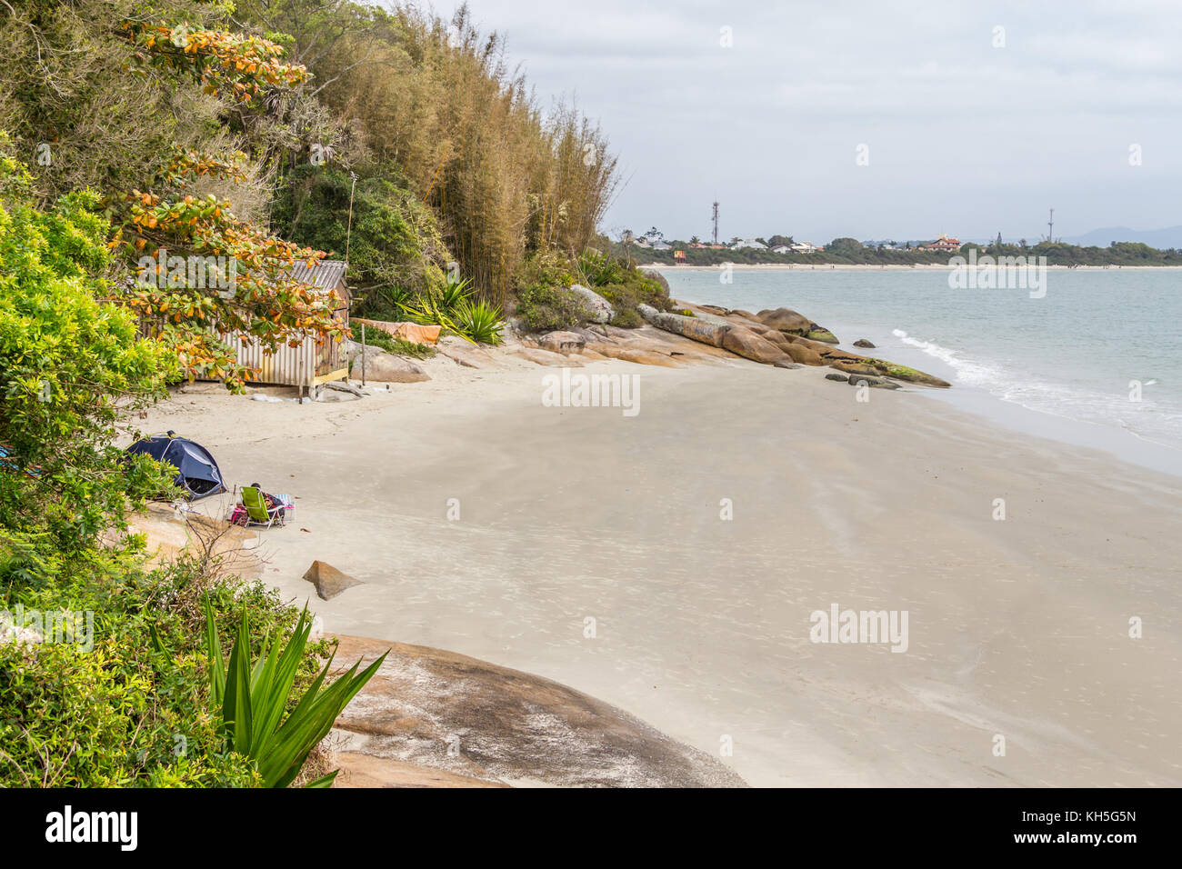 Daniela beach, Florianopolis, Santa Catarina, Brazil Stock Photo - Alamy