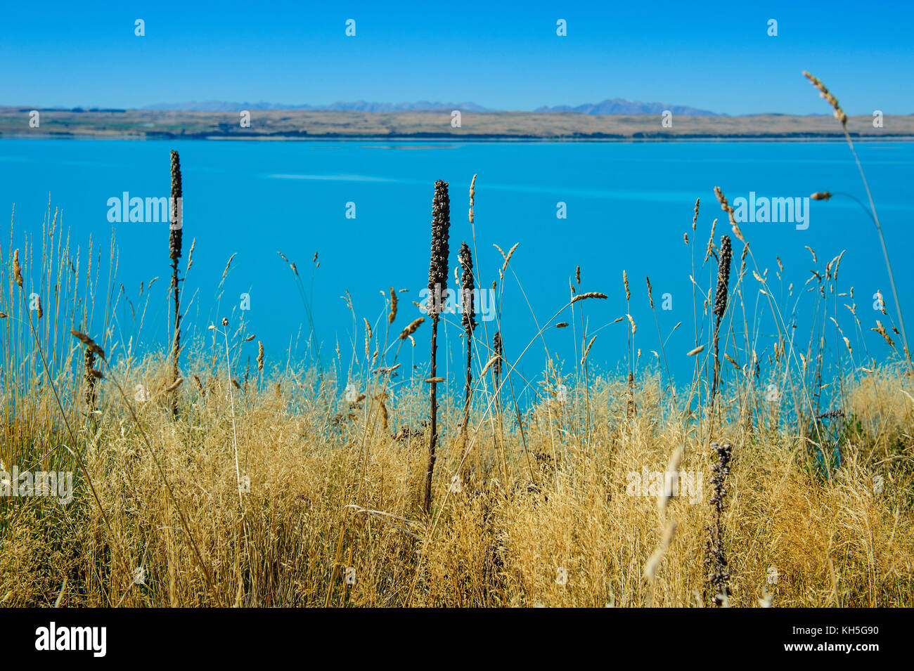 Lake Pukaki, Mount Cook National Park, South Island, New Zealand Stock ...