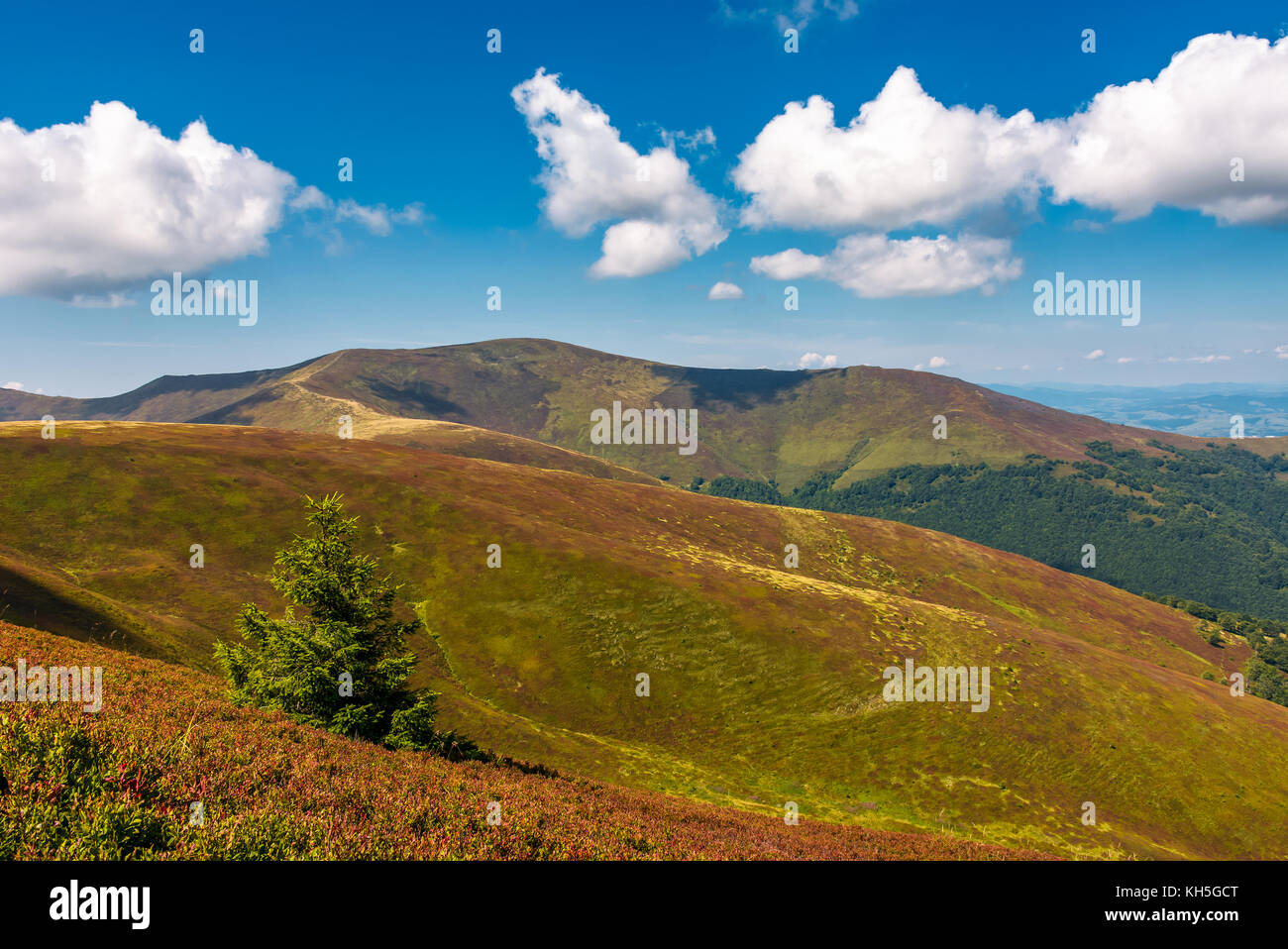 Hilly slope hi-res stock photography and images - Alamy