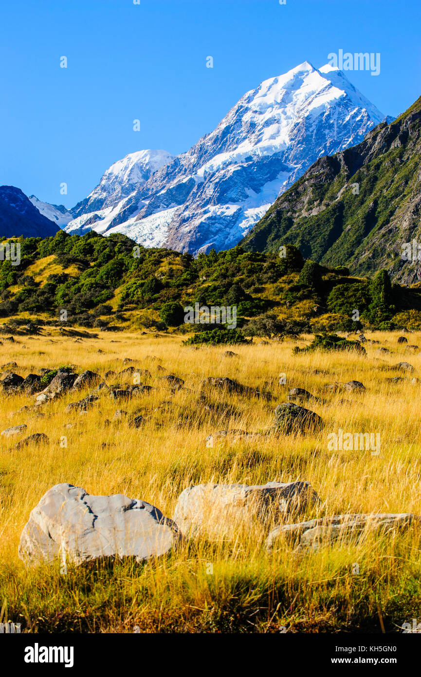 Mount Cook highest mountain in New Zealand, South Island Stock Photo ...