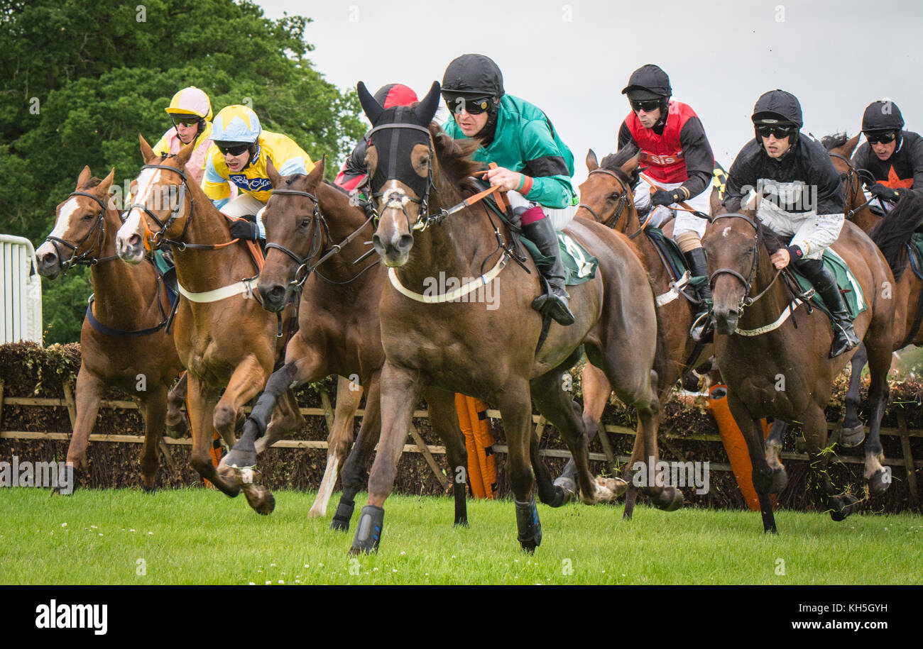 Uttoxeter racecourse hi-res stock photography and images - Alamy