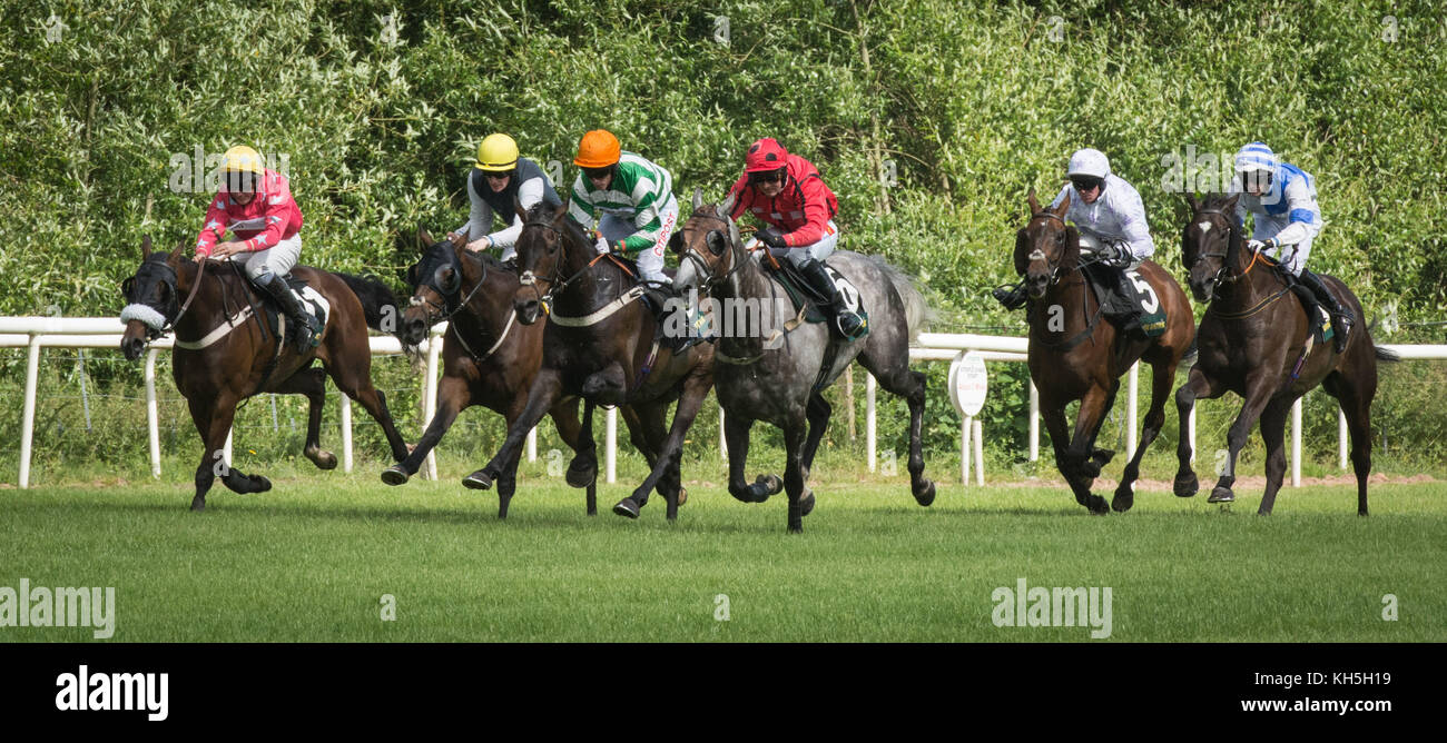 Horse Racing at Uttoxeter Racecourse, UK Stock Photo - Alamy