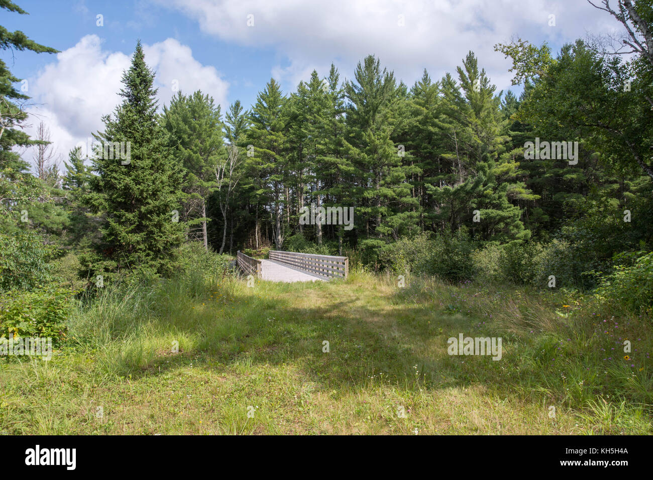 Mecca Trail, Mercer, Wisconsin Stock Photo - Alamy
