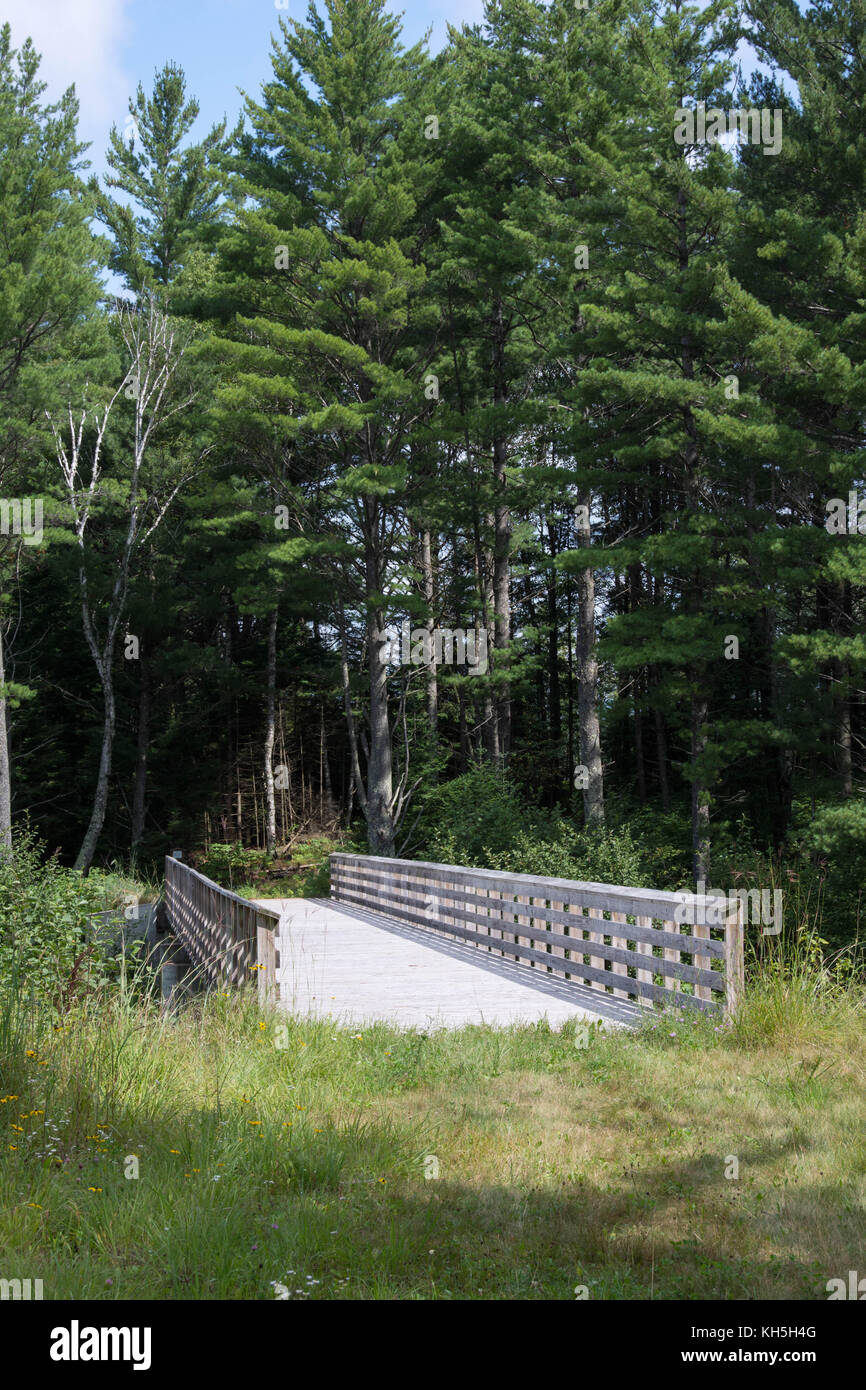 Mecca Trail, Mercer, Wisconsin Stock Photo - Alamy
