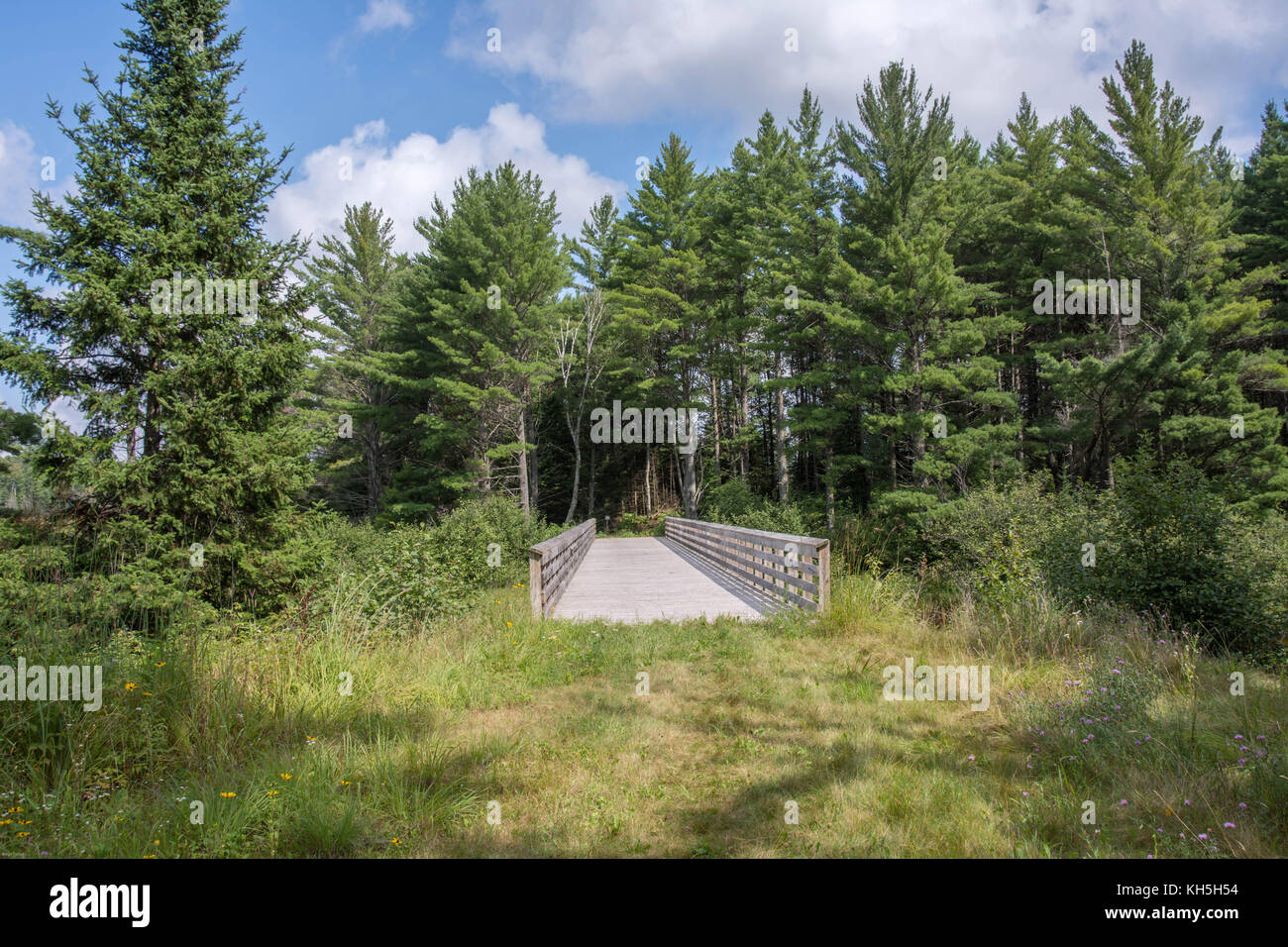 Mecca Trail, Mercer, Wisconsin Stock Photo - Alamy