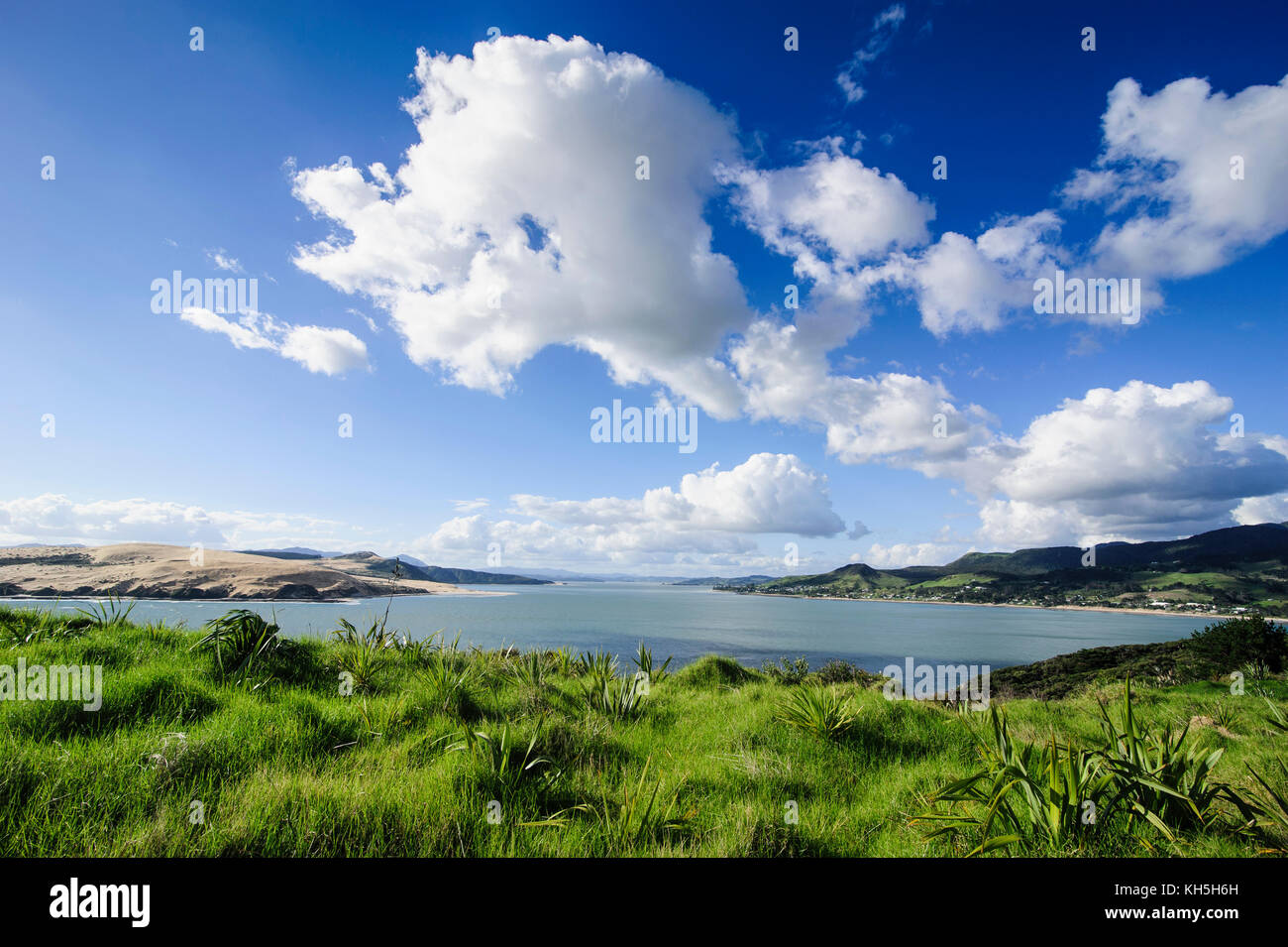 View of the Arai-Te-Uru Recreation Reserve south end of Hokianga ...