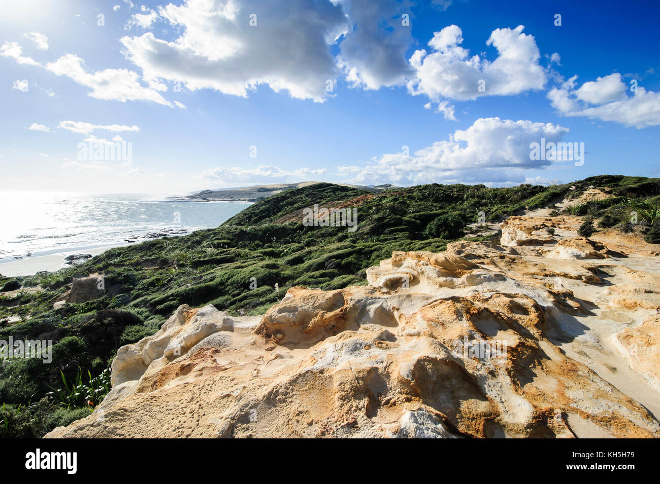 Arai-Te-Uru Recreation Reserve, Hokianga harbour, Westcoast Northland ...