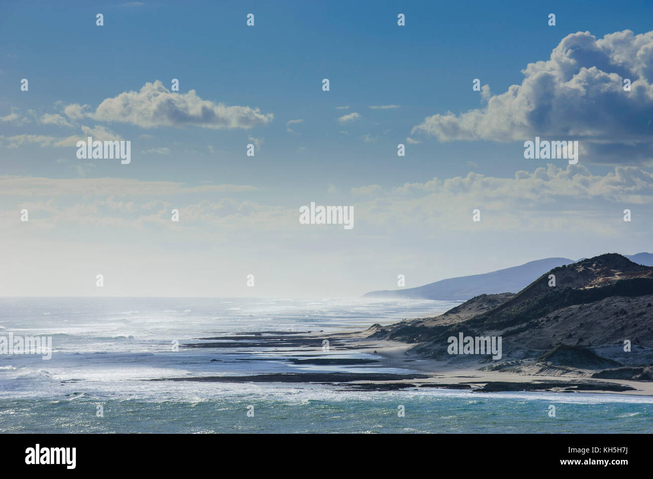 Beautiful coastline in the Arai-Te-Uru Recreation Reserve, Hokianga ...