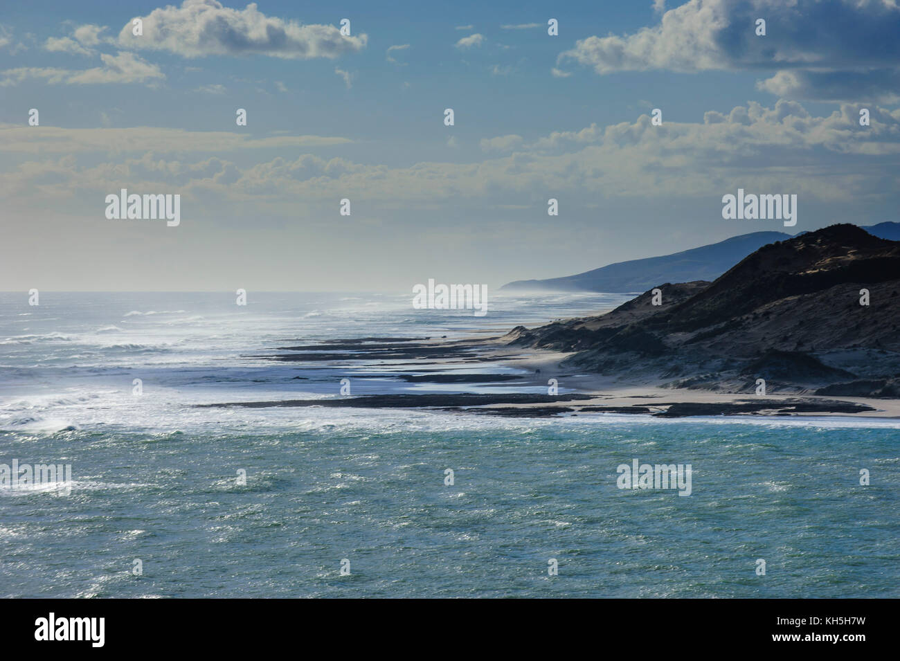 Beautiful coastline in the Arai-Te-Uru Recreation Reserve, Hokianga ...