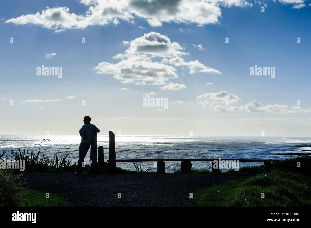 Arai-Te-Uru Recreation Reserve, Hokianga harbour, Westcoast Northland ...