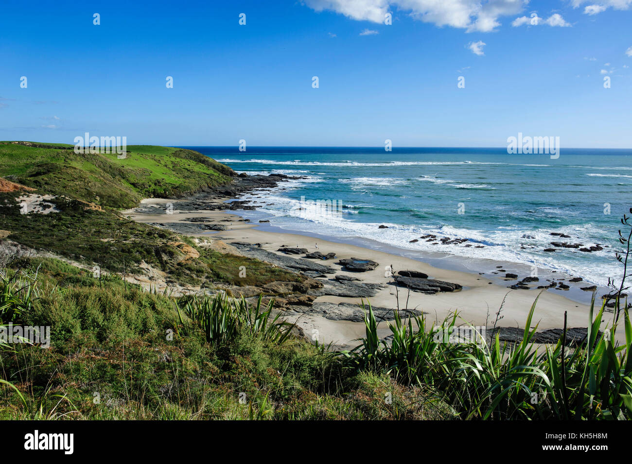 Beautiful coastline in the Arai-Te-Uru Recreation Reserve, Hokianga ...