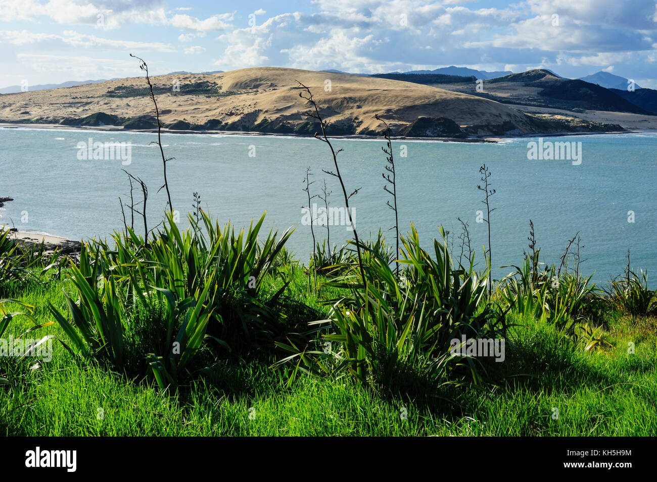 View of the Arai-Te-Uru Recreation Reserve south end of Hokianga ...