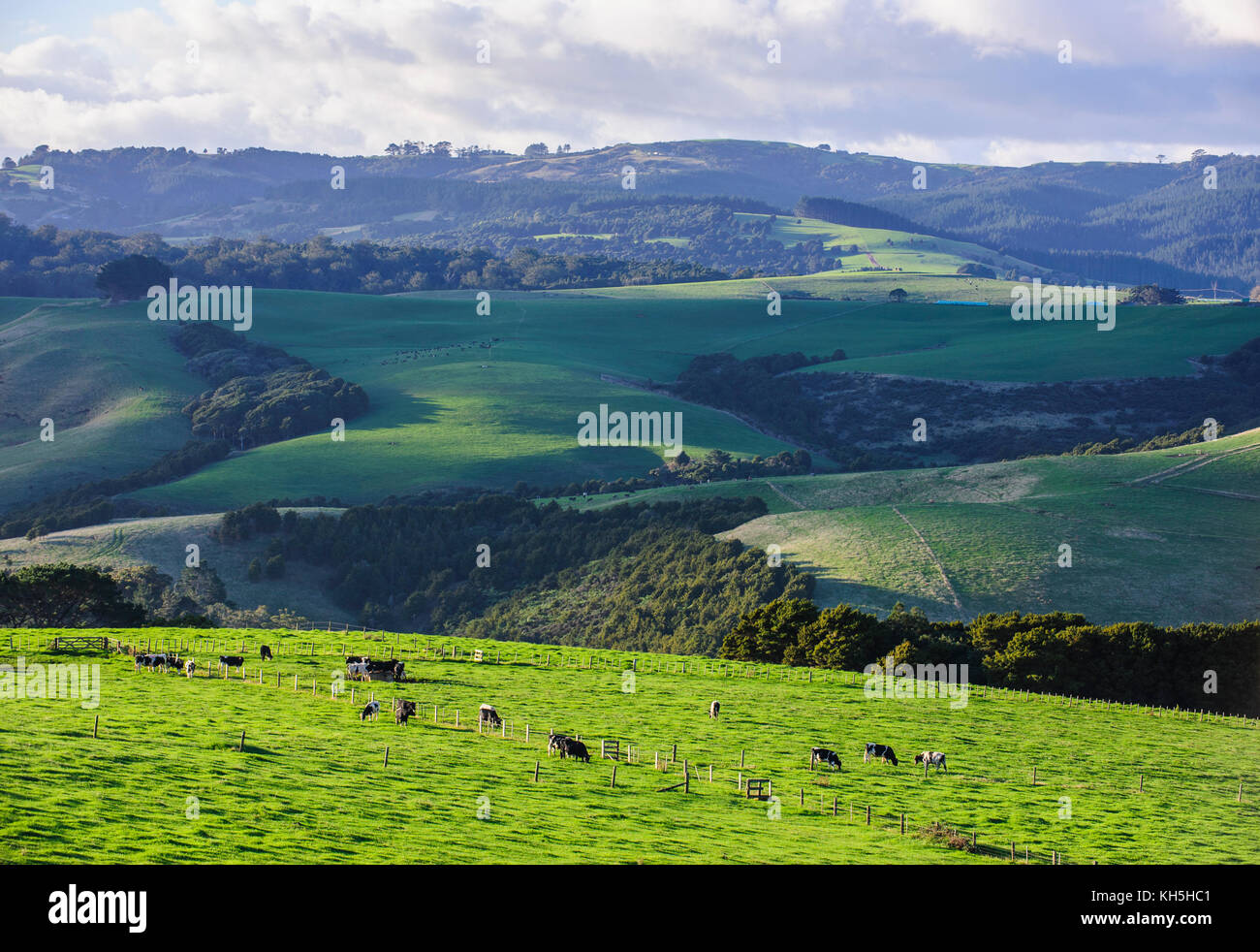 Beautiful scenery in the hinterland of Northland, North Island, New ...
