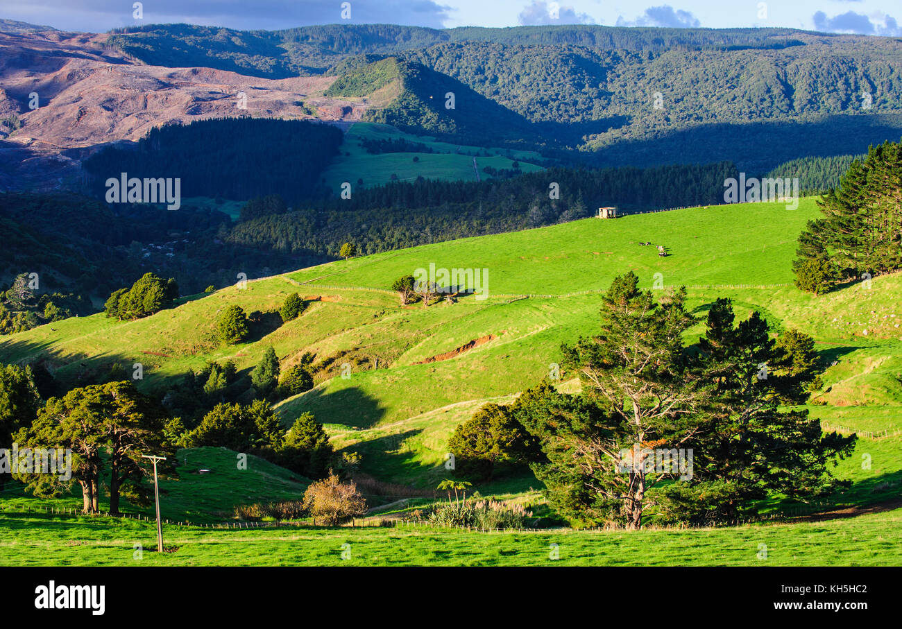 Beautiful scenery in the hinterland of Northland, North Island, New ...