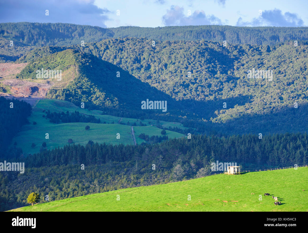 Beautiful scenery in the hinterland of Northland, North Island, New ...