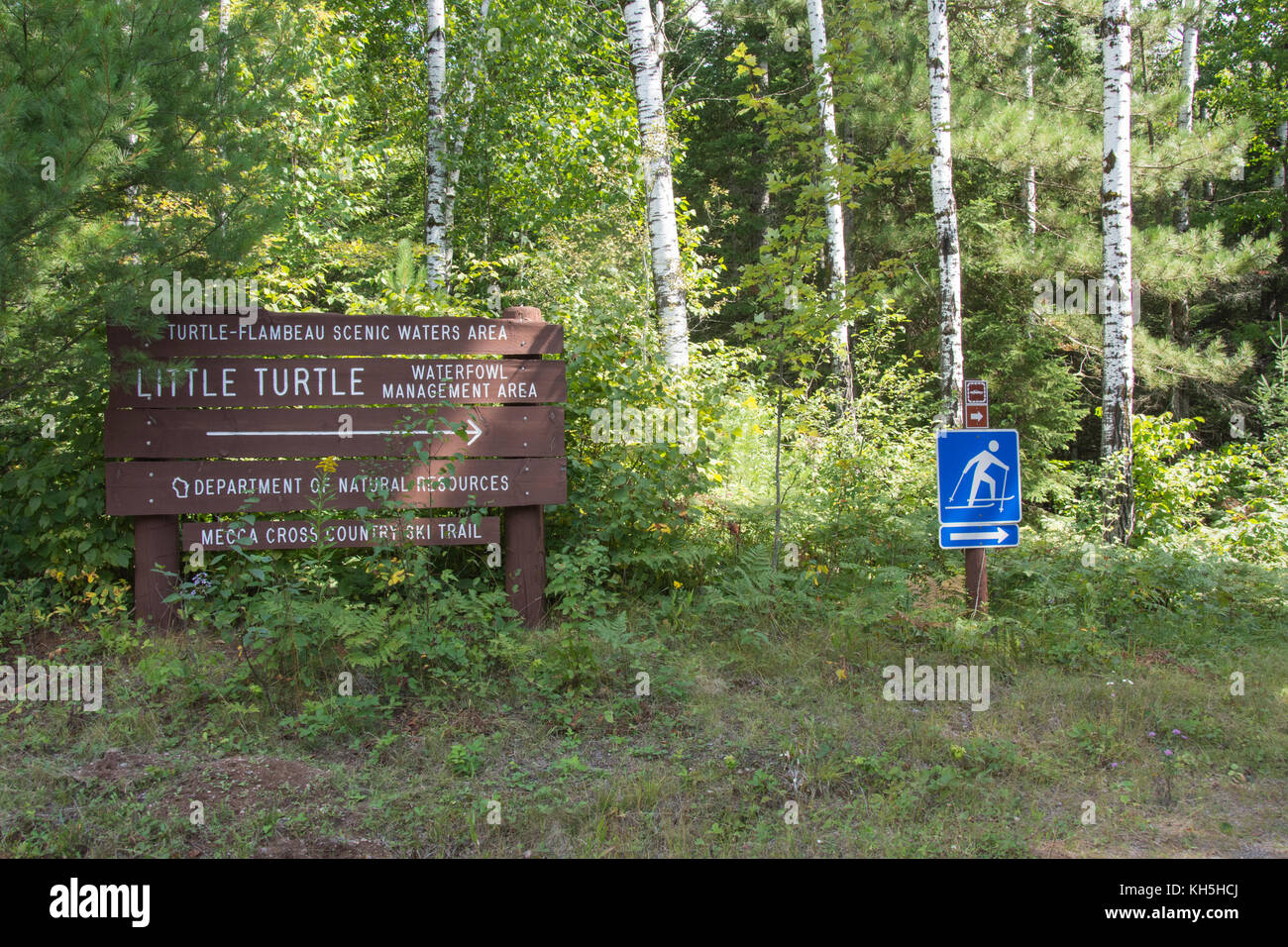 Turtle - Flambeau Scenic Waters Area Stock Photo - Alamy