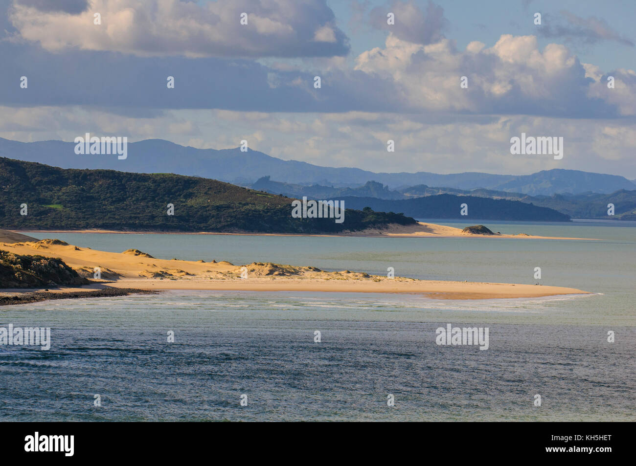 Beautiful coastline in the Arai-Te-Uru Recreation Reserve, Hokianga ...
