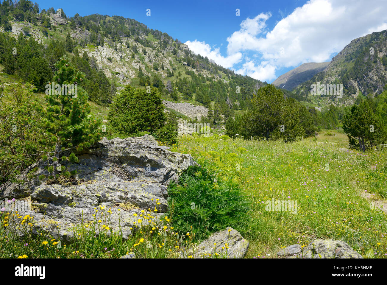 Beautiful valley and blue sky in Andorra. Mountain landscape in the ...
