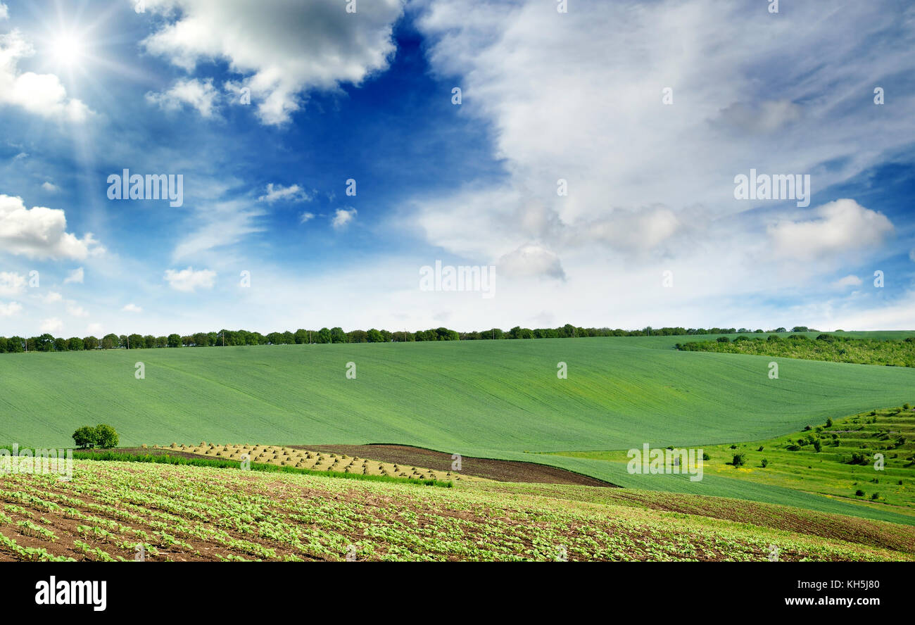 rural landscape with a green spring field lit by the rays of a bright ...