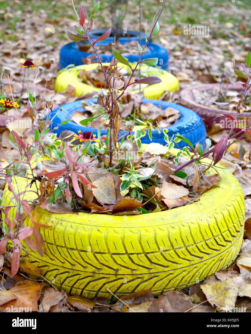 flower pots made by car tire,image of a Stock Photo - Alamy
