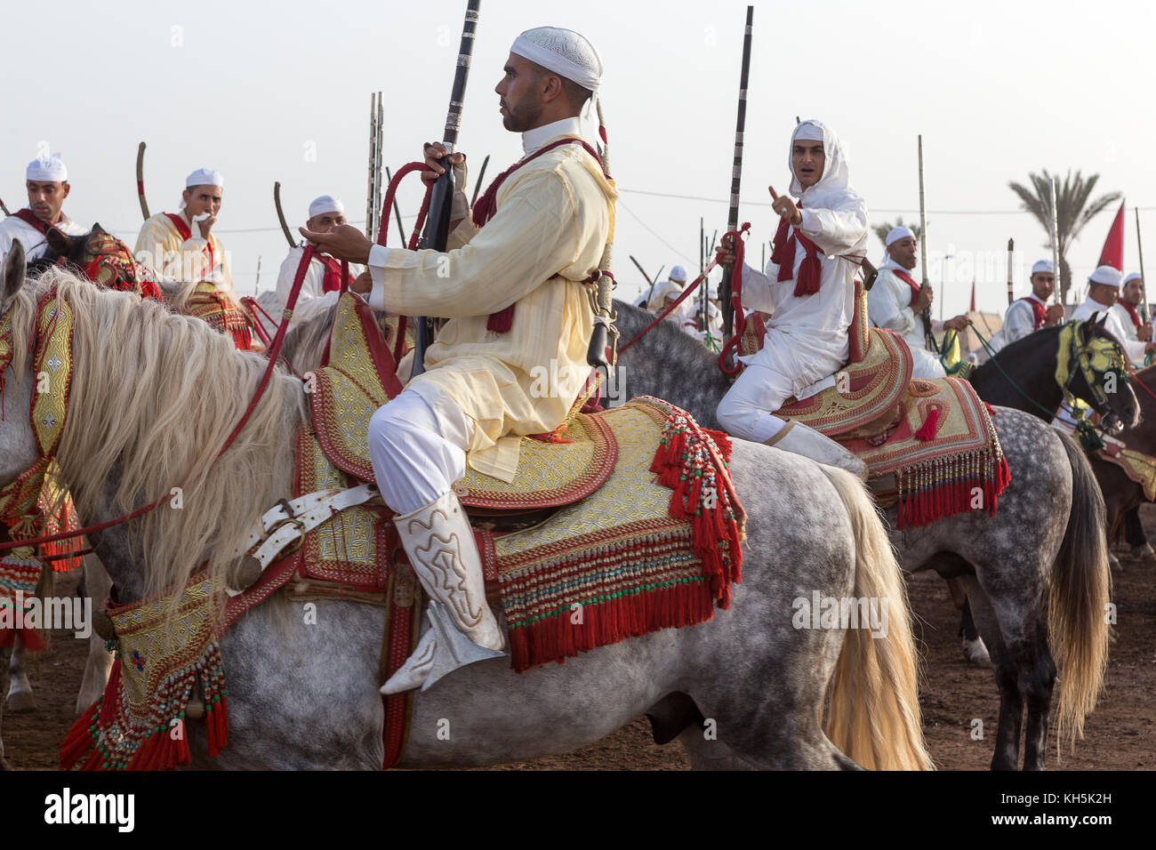 Fantasia is a traditional exhibition of horsemanship in the Maghreb ...