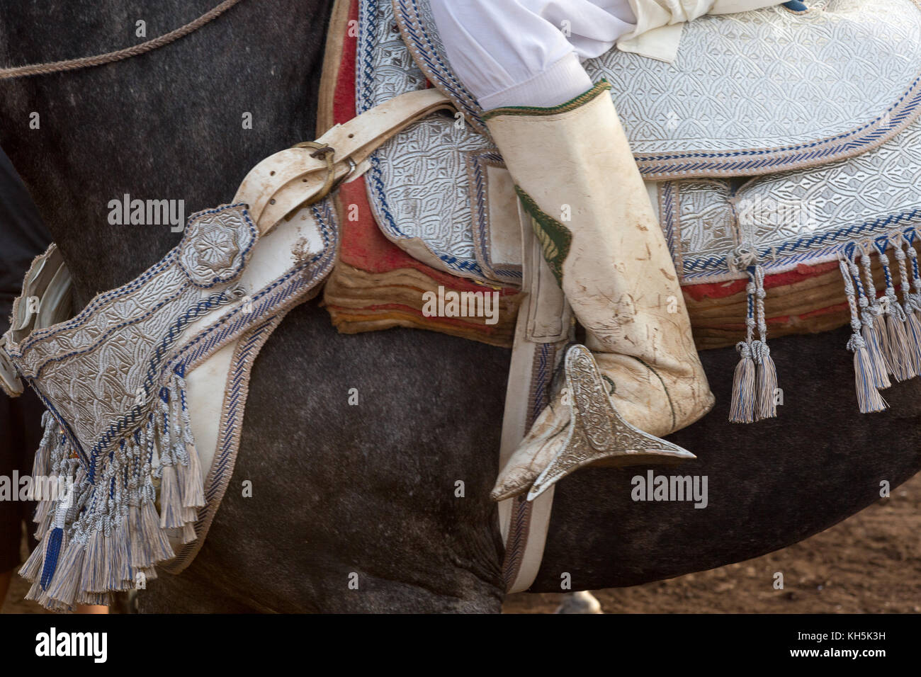 Fantasia is a traditional exhibition of horsemanship in the Maghreb ...