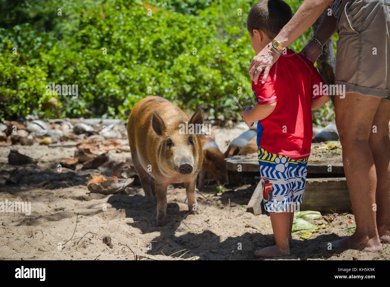 Abaco High Resolution Stock Photography and Images - Alamy
