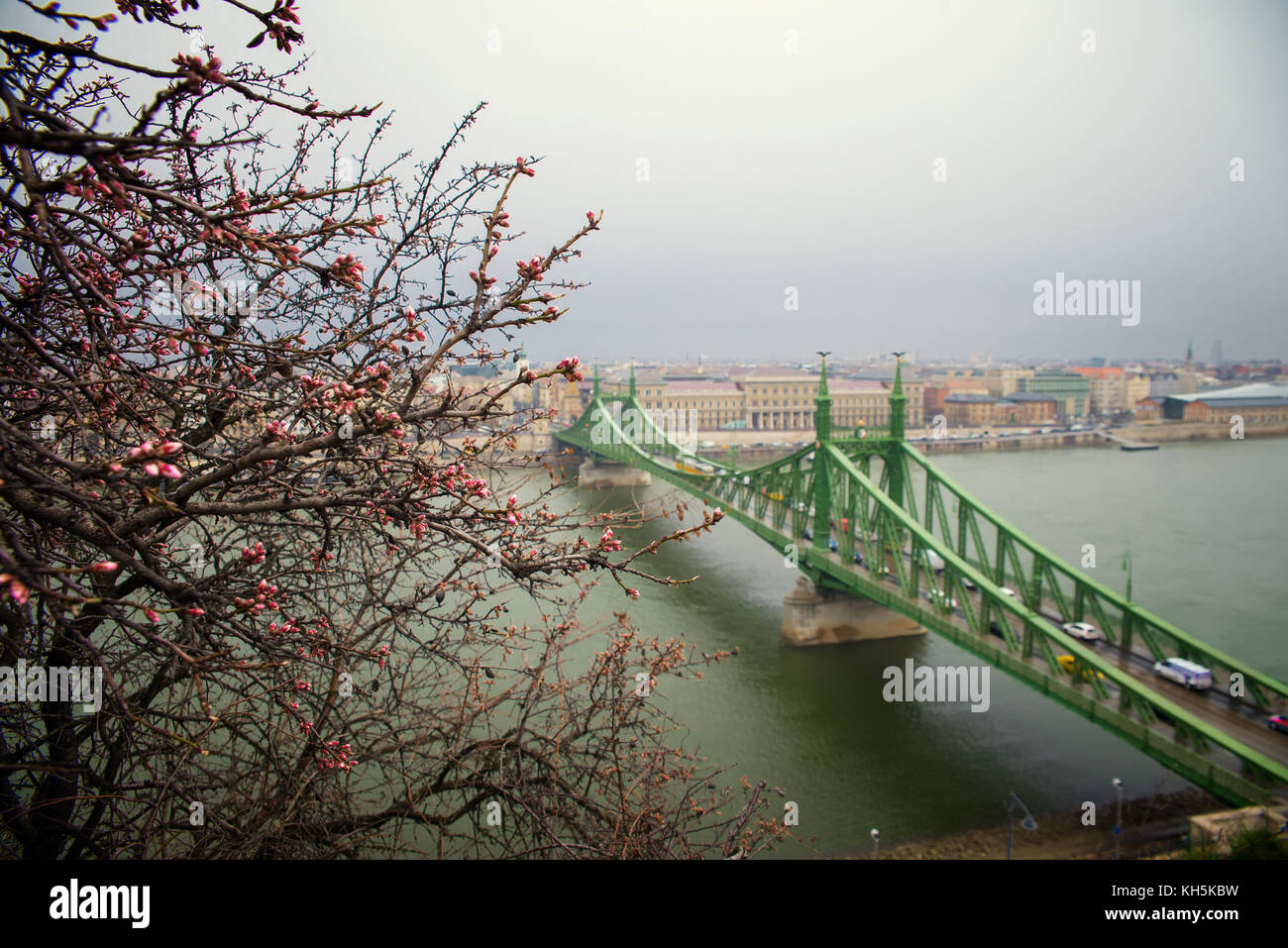 Liberty Bridge Stock Photo - Alamy