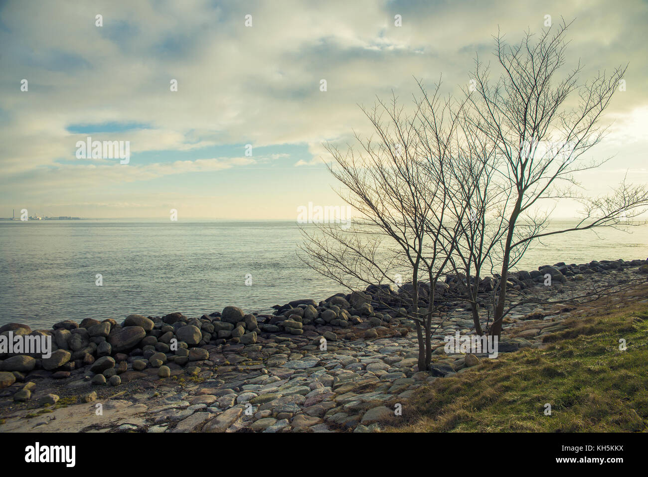 Sweden tree landscape hi-res stock photography and images - Alamy