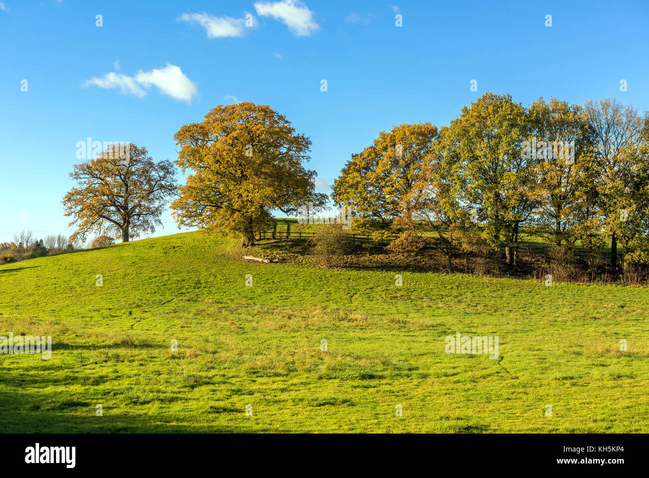 Most amazing colors hi-res stock photography and images - Alamy