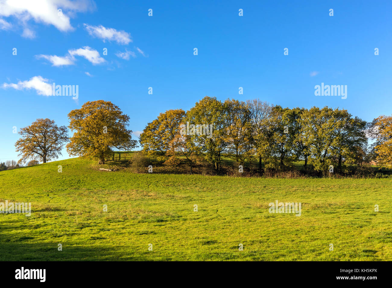 Most amazing colors hi-res stock photography and images - Alamy