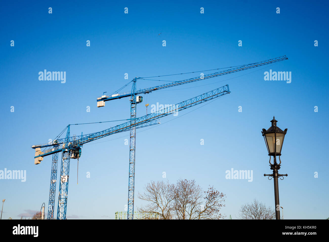 cranes Stock Photo - Alamy