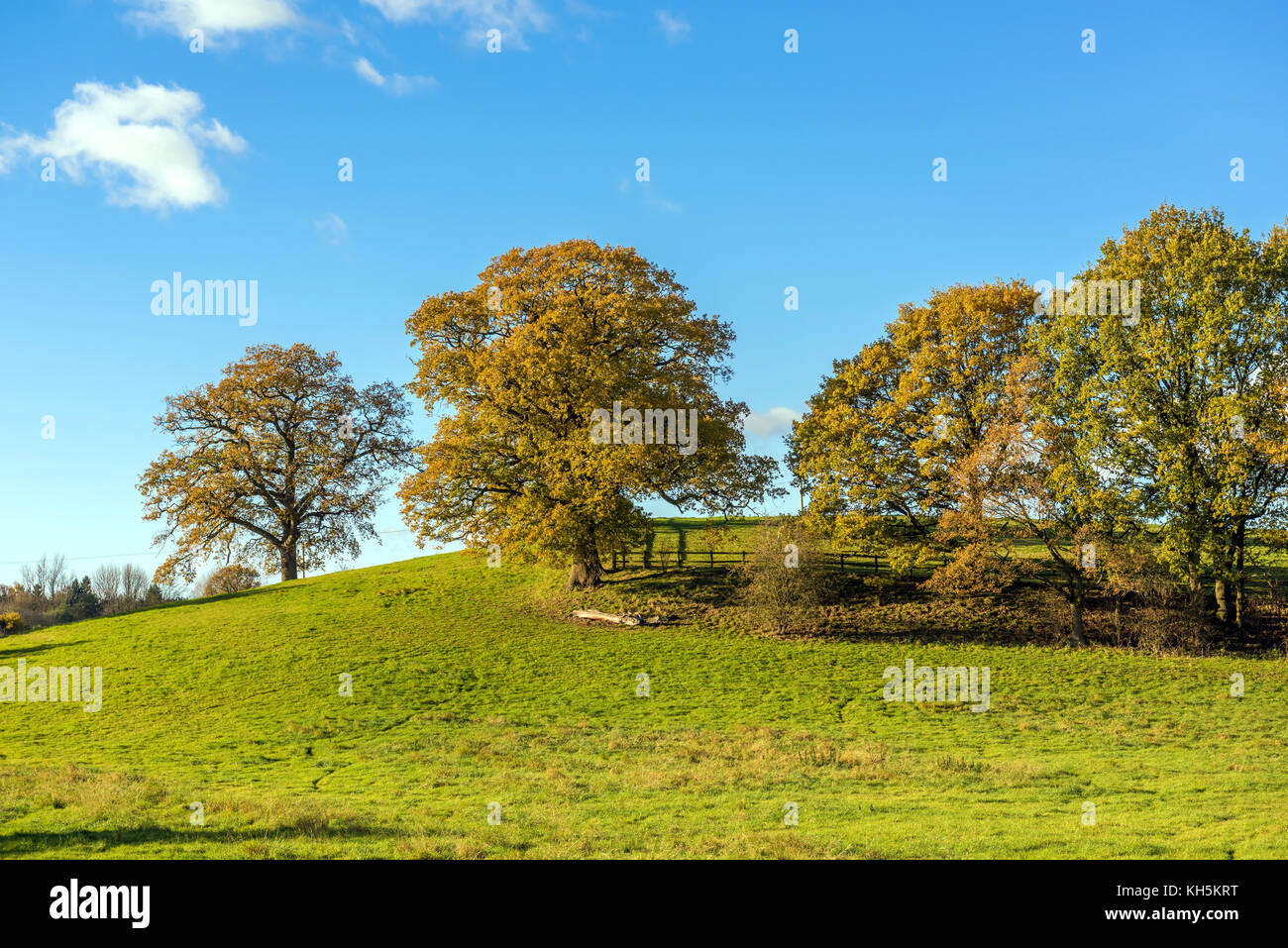 Amazing Colors of Autumn Stock Photo - Alamy