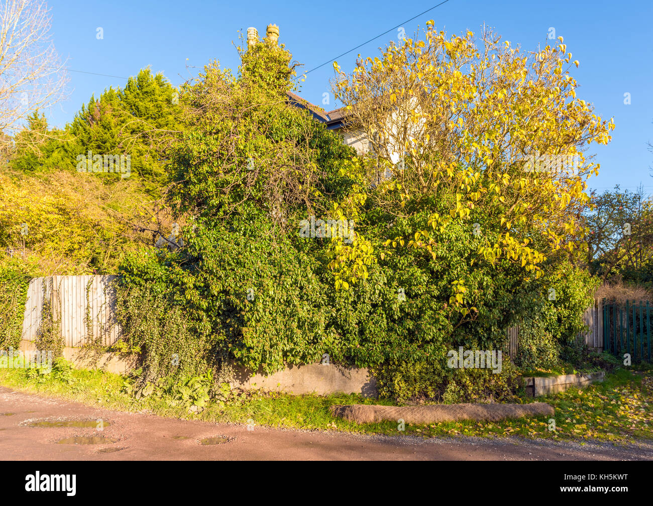 Amazing Colors of Autumn Stock Photo - Alamy