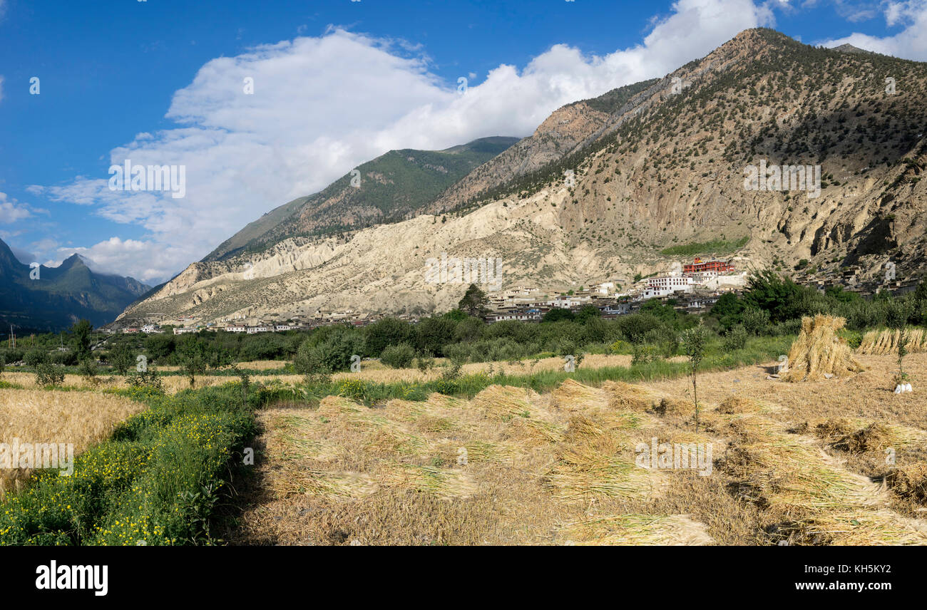Marpha village and apple gardens in Mustang. Nepal Stock Photo - Alamy