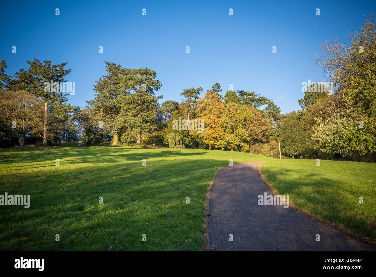 Amazing Colors of Autumn Stock Photo - Alamy