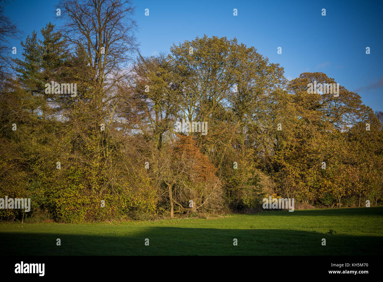 Amazing Colors of Autumn Stock Photo - Alamy