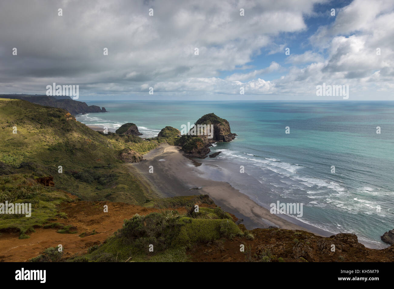 Te henga new zealand hi-res stock photography and images - Alamy