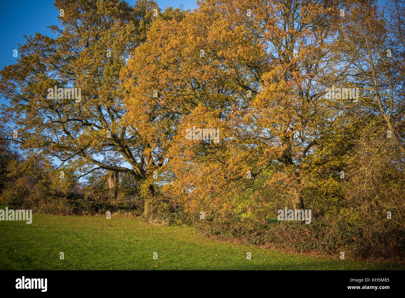Amazing Colors of Autumn Stock Photo - Alamy