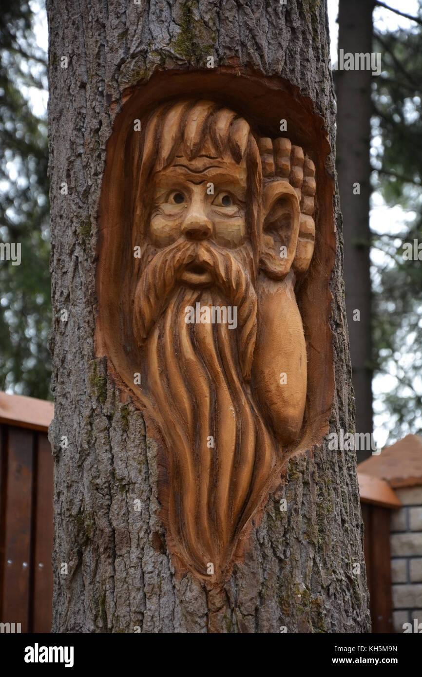 Green man face tree trunk hi-res stock photography and images - Alamy